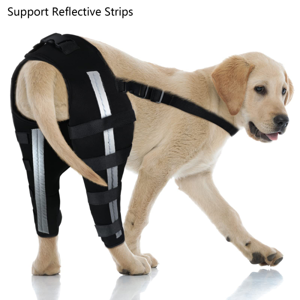 Dog Acl Brace Fix Joint Damage Knee Braces for Dogs - Crawlpaw