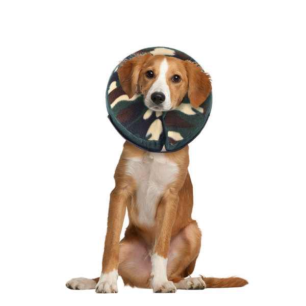 Inflatable Cat Dog Collar for Postoperative Recovery - Crawlpaw