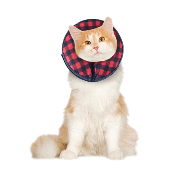 Cat Dog Cones Post Operative recovery Elizabethan Collar Cat Dog ...