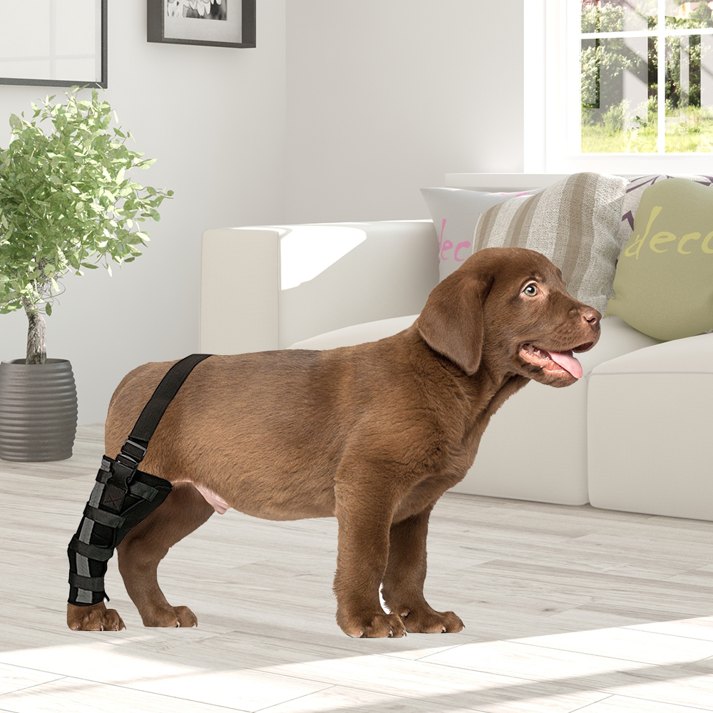Dog Leg Brace with Reflective Metal Support - Crawlpaw