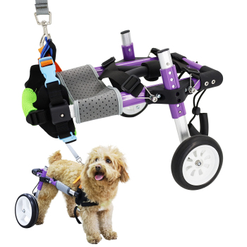 Dog Wheelchairs For Dog Back Legs Disability - Crawlpaw