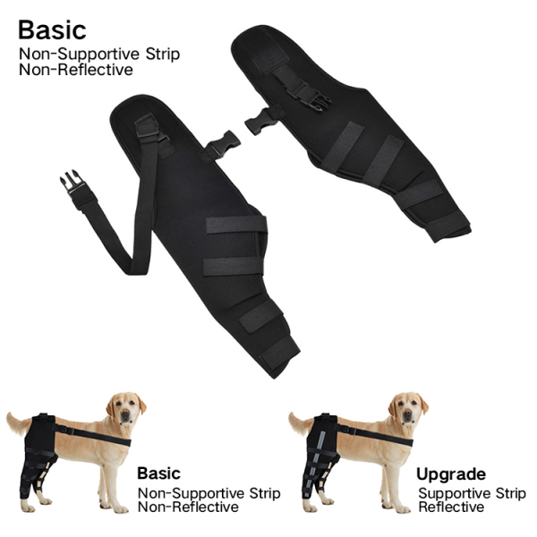 Dog Acl Brace Fix Joint Damage Knee Braces for Dogs - Crawlpaw