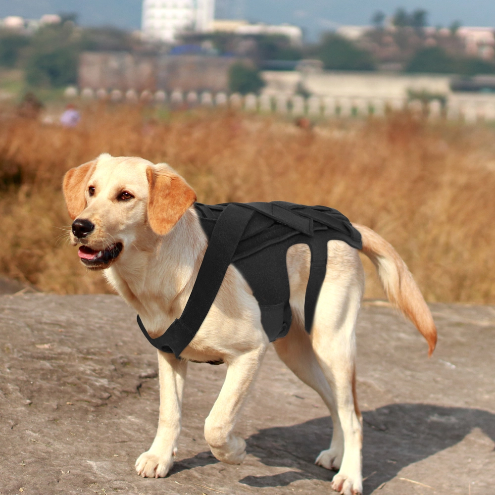 Dog Back Brace for IVDD - Crawlpaw