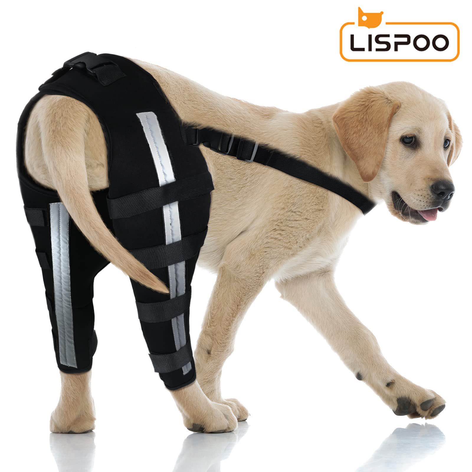 Dog Acl Braces Fix Joint Damage Knee Braces for Dogs - Crawlpaw