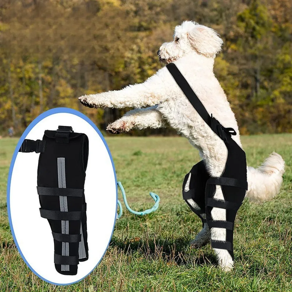 Best Dog Brace For ACL Tear & Dog Cruciate Ligament For Sale | LOVEPLUSPET