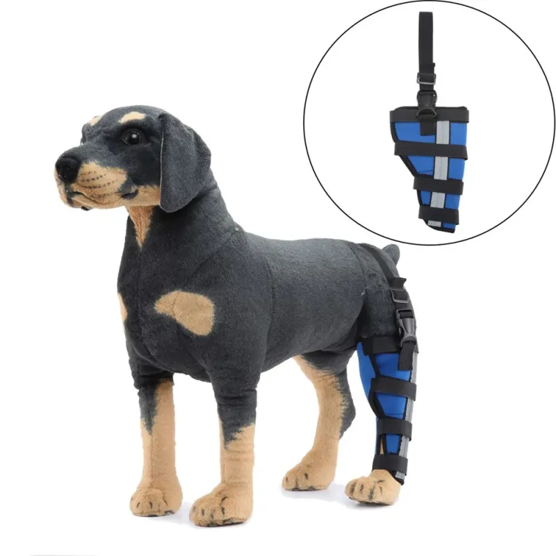 Best Leg Support For Dogs For Sale | LOVEPLUSPET