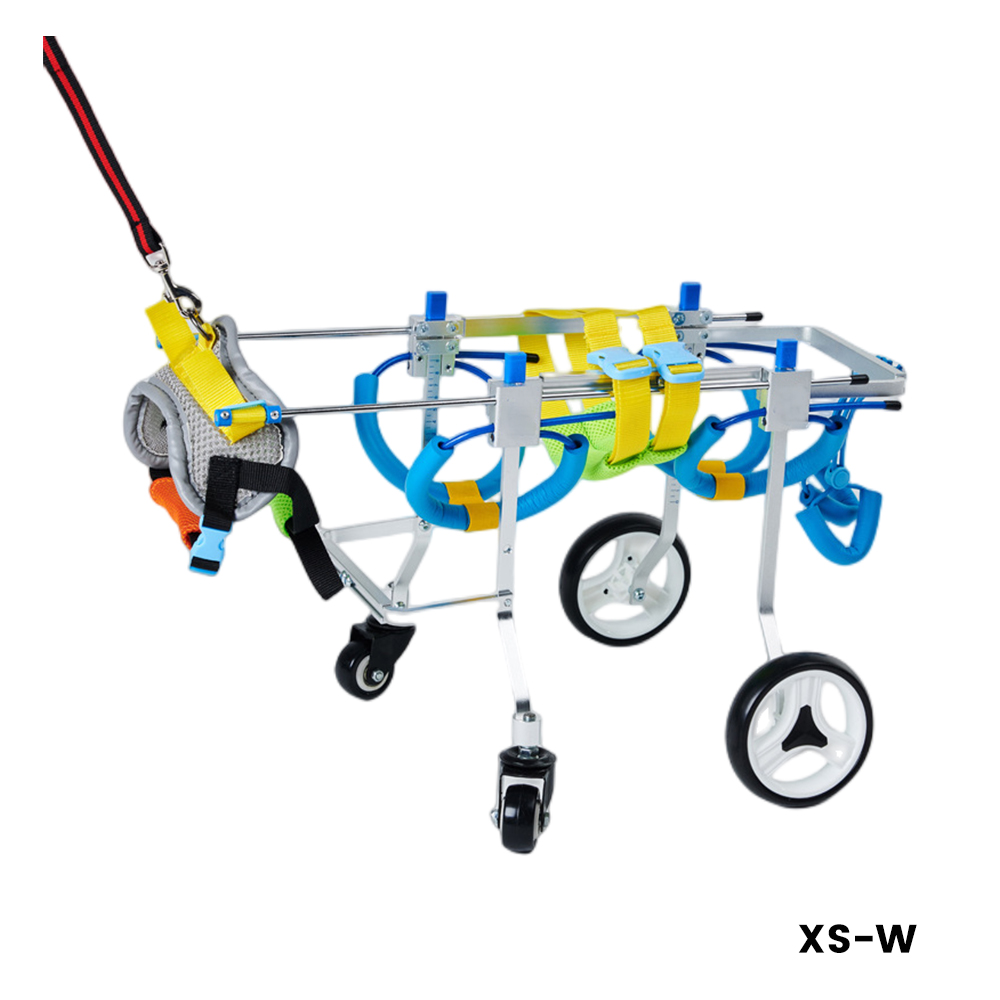 Best Quad Wheelchair for Small Dogs | LOVEPLUSPET