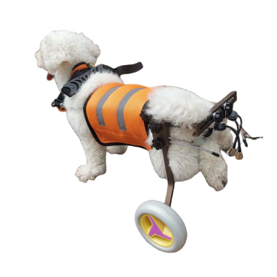 Best Small Dog Wheelchair for Back Legs | LOVEPLUSPET