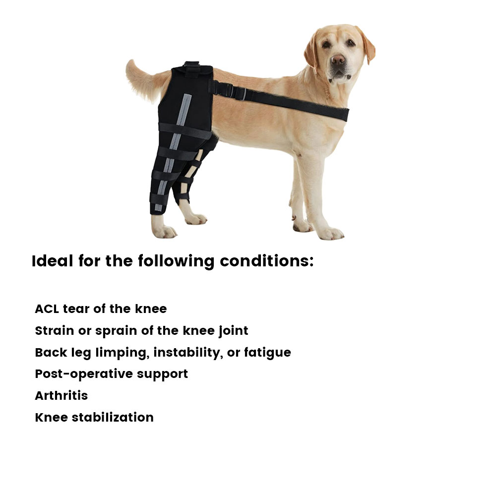 Best Dog Brace For ACL Tear & Dog Cruciate Ligament For Sale | LOVEPLUSPET