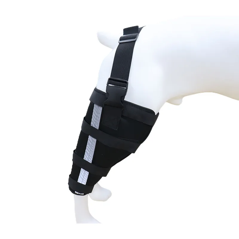 Best Leg Support For Dogs For Sale | LOVEPLUSPET