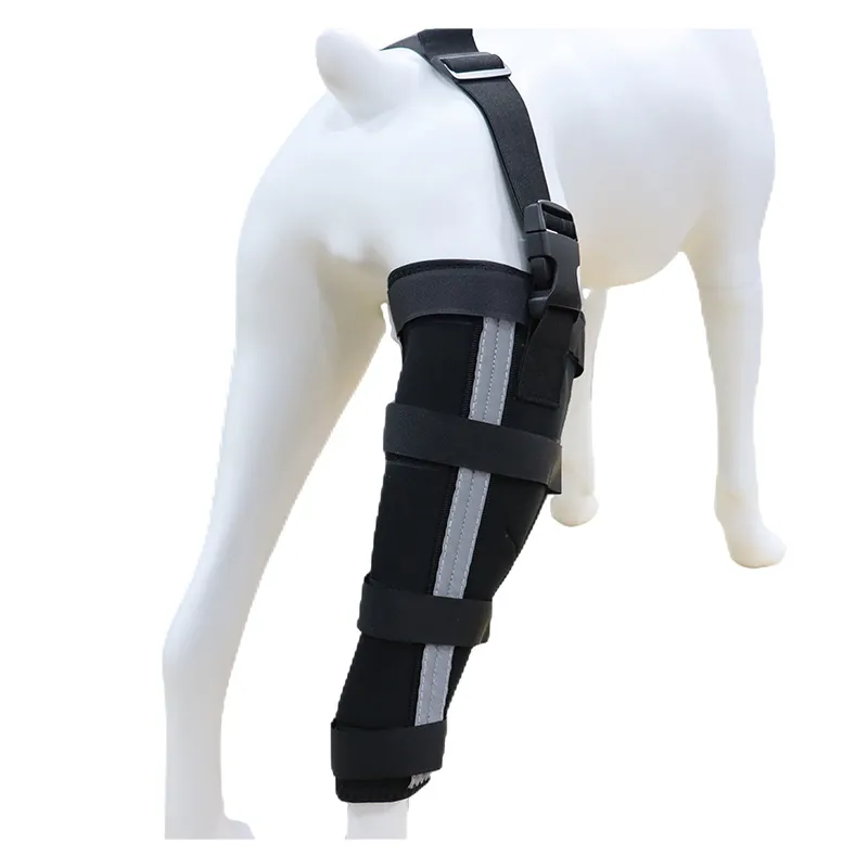Best Leg Support For Dogs For Sale | LOVEPLUSPET