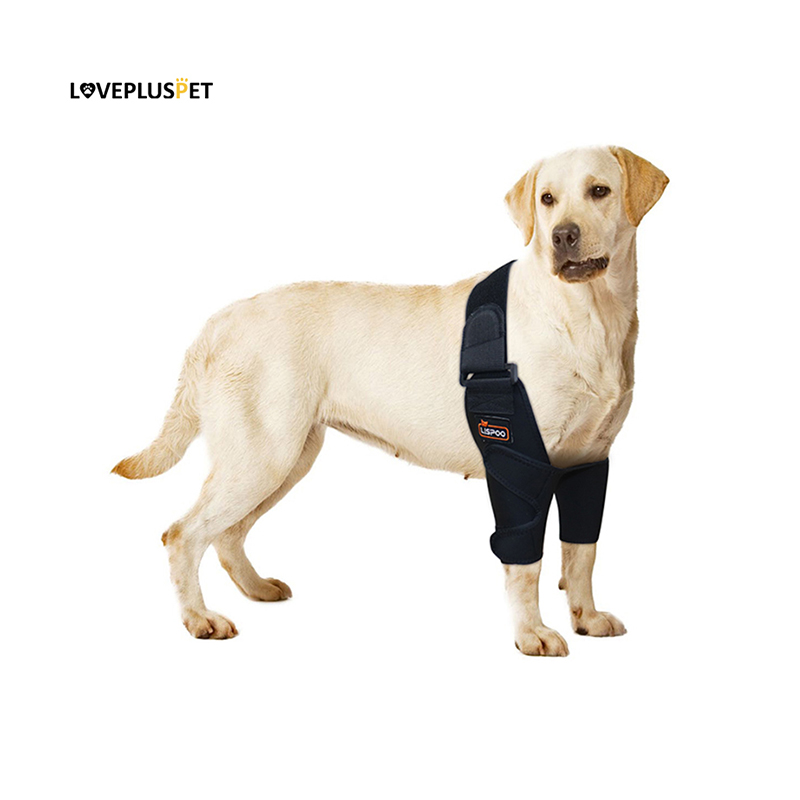 Best Dog Elbow & Shoulder Brace For Front Support | LOVEPLUSPET