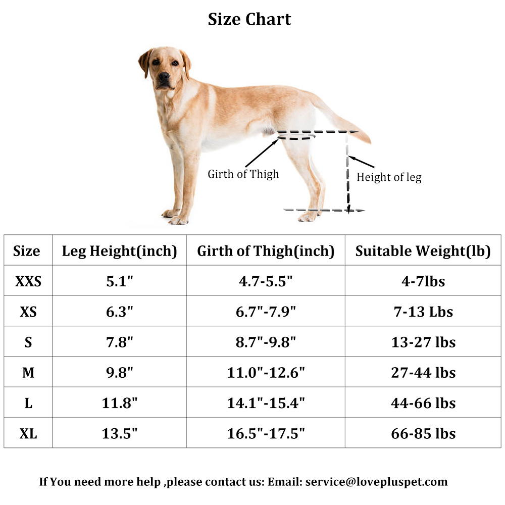 Best Leg Support For Dogs For Sale | LOVEPLUSPET