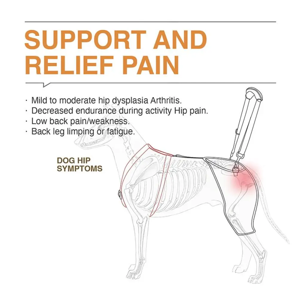 Hip Brace for Dogs with Hip Dysplasia| Lovepluspet