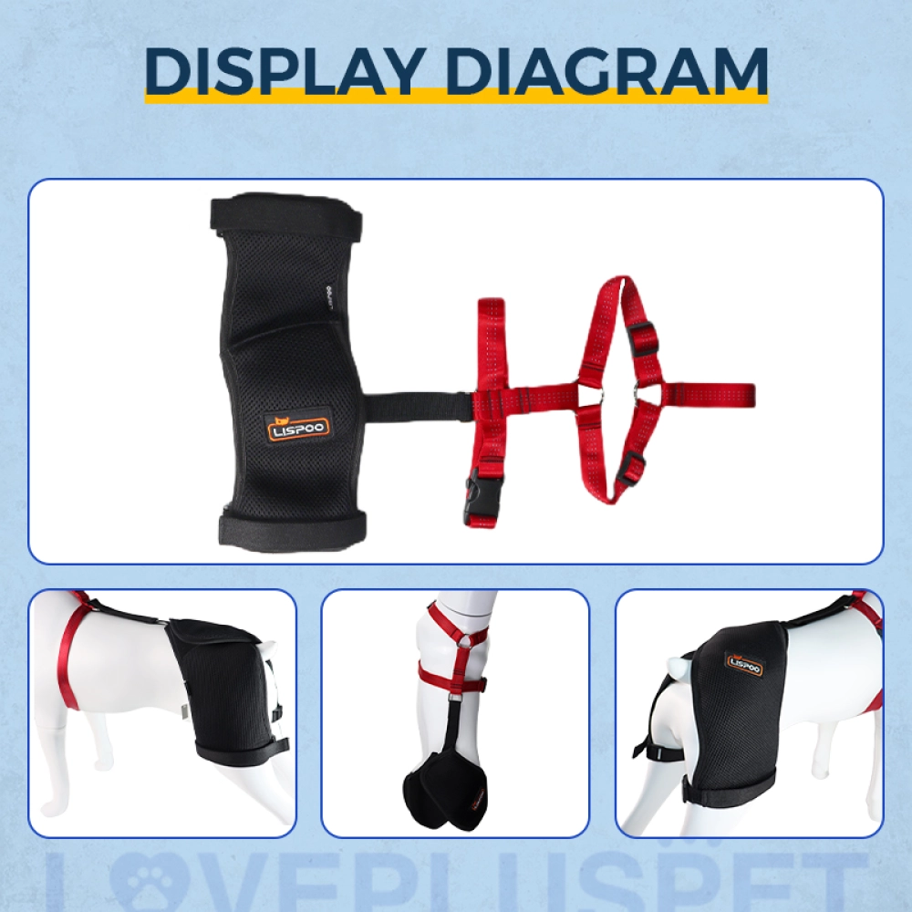 Best Dog Hip Dysplasia Support Brace For Sale | LOVEPLUSPET
