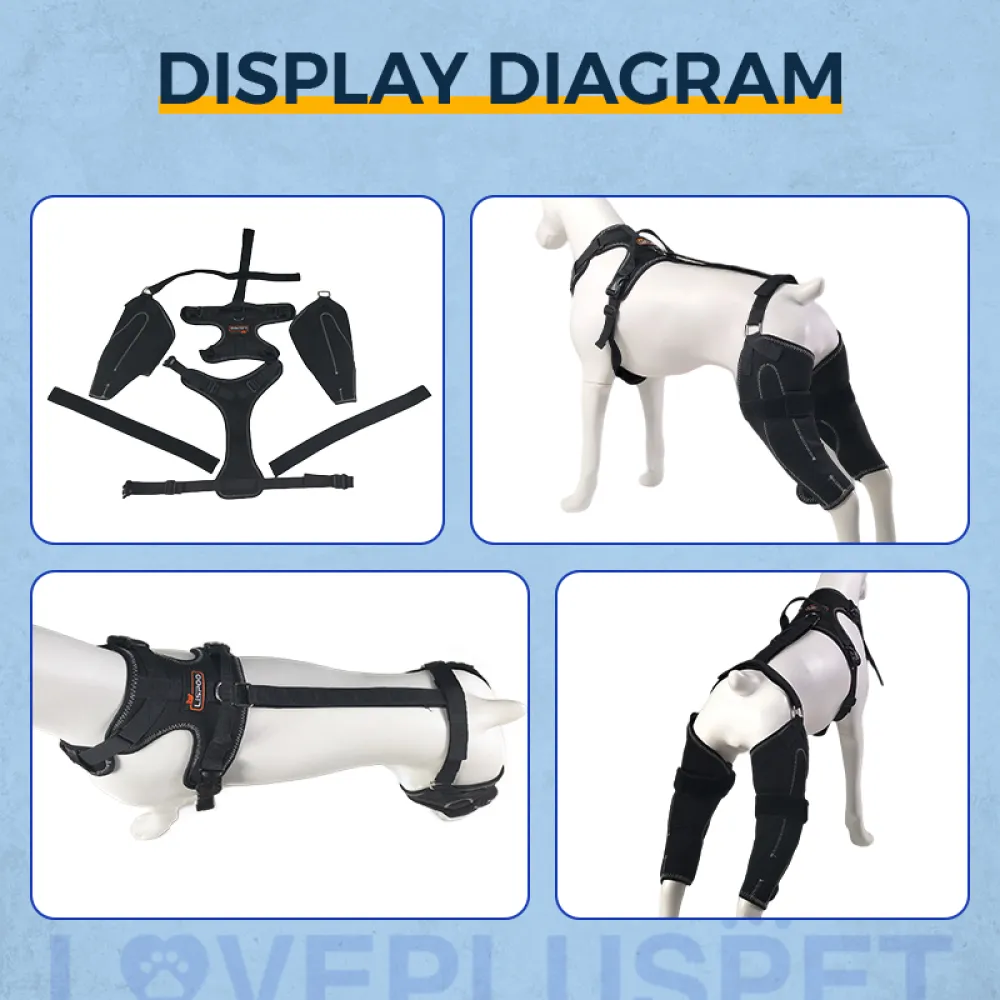 Dog Knee Brace with Metal Splint Hinge Support for ACL| Lovepluspet