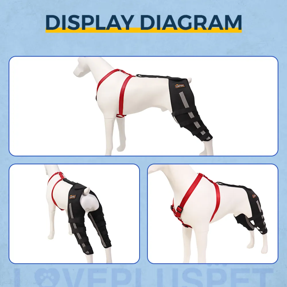 Luxating Patella Dog Knee Brace｜Lovepluspet