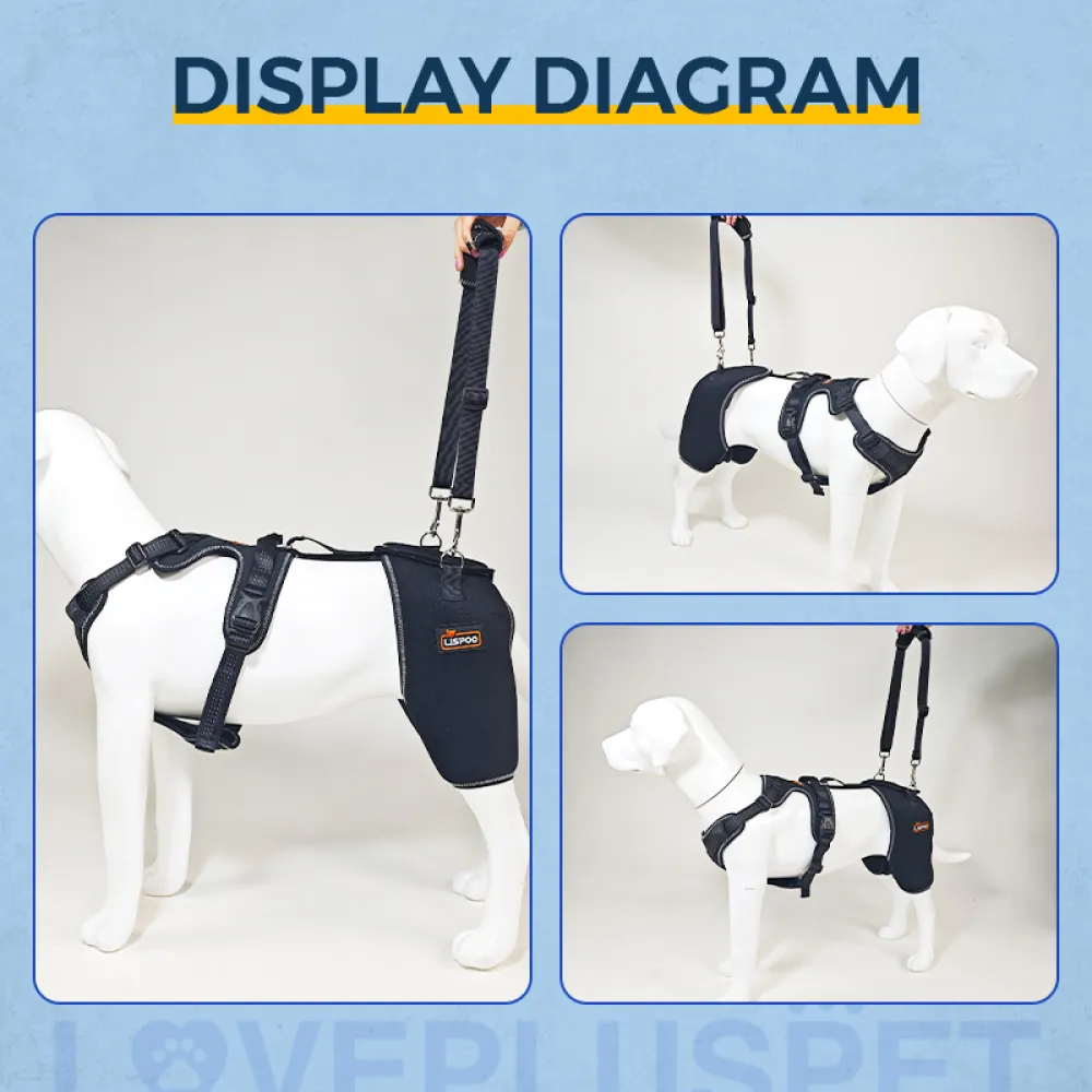 Dog Hip Support Brace for Dysplasia | Lovepluspet