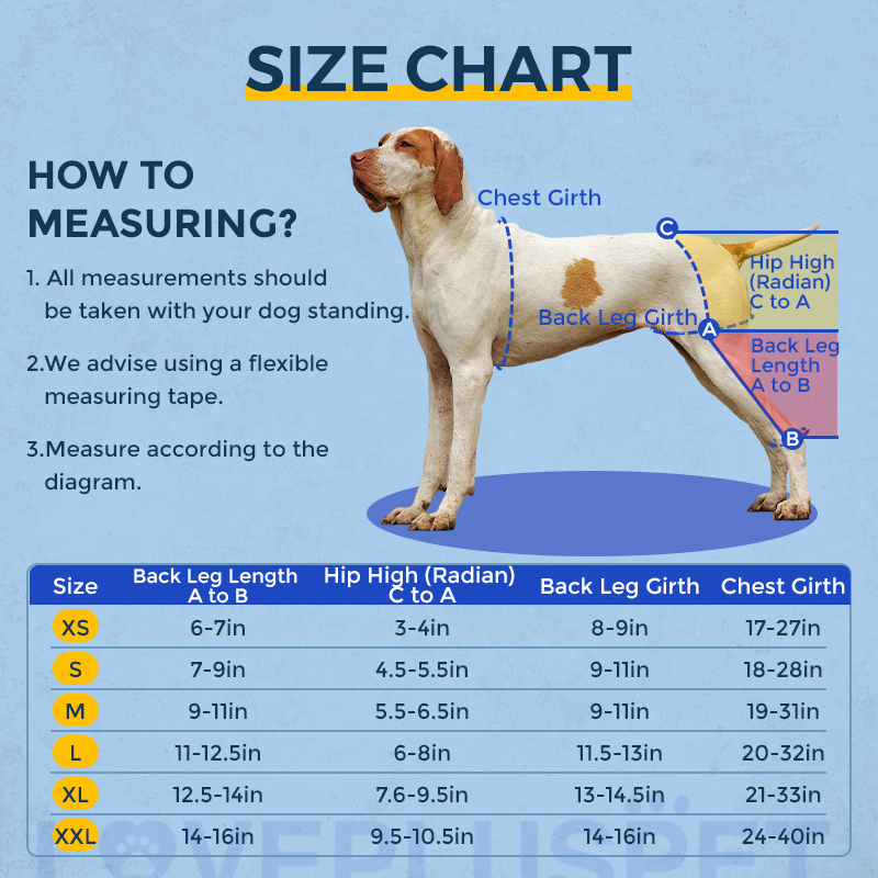 Luxating Patella Dog Knee Brace｜Lovepluspet