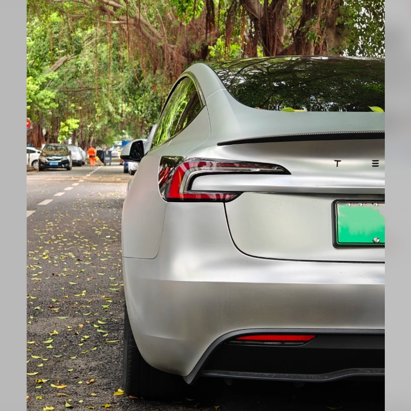 Matte Chrome Alexander Silver