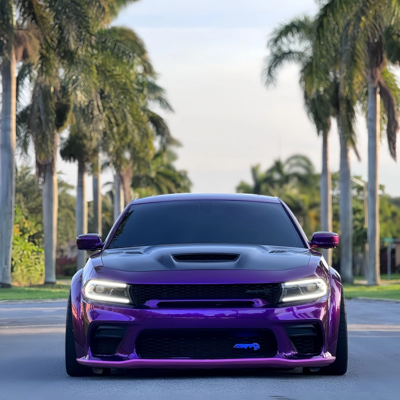 Gloss Metallic Grape Purple Car Vinyl Wrap丨carwraponline