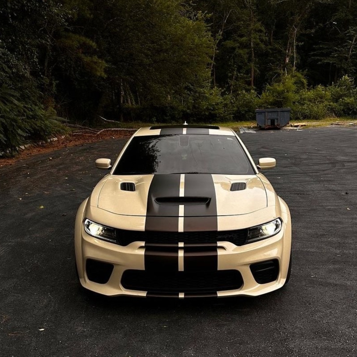Dodge Super Gloss Sandstorm Car Vinyl Wrap