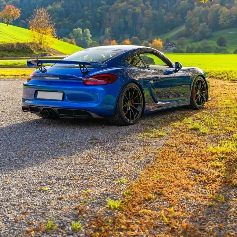 Best Gloss Blueberry Car Wrap | Metallic Blueberry Vinyl Wraps