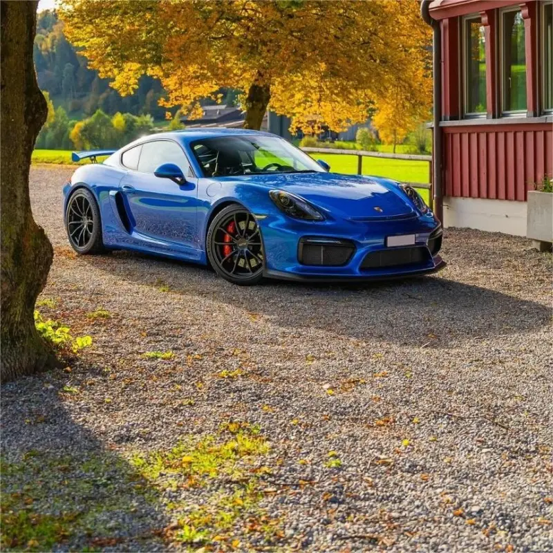 Best Gloss Blueberry Car Wrap | Metallic Blueberry Vinyl Wraps