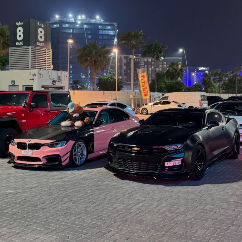 Gloss Salmon Pink Car Wrap | Super Gloss Piggy Bank Pink vinyl Wrap ...