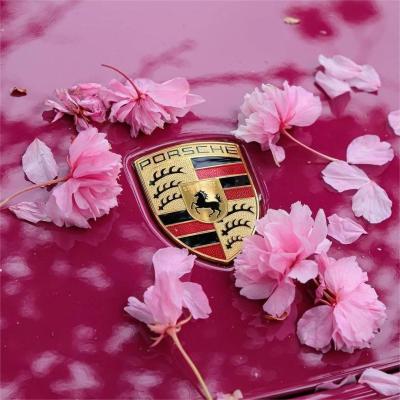 Best Gloss Ruby Star Red Wrap | Ruby Star Vinyl Wraps - ALUKOVINYL