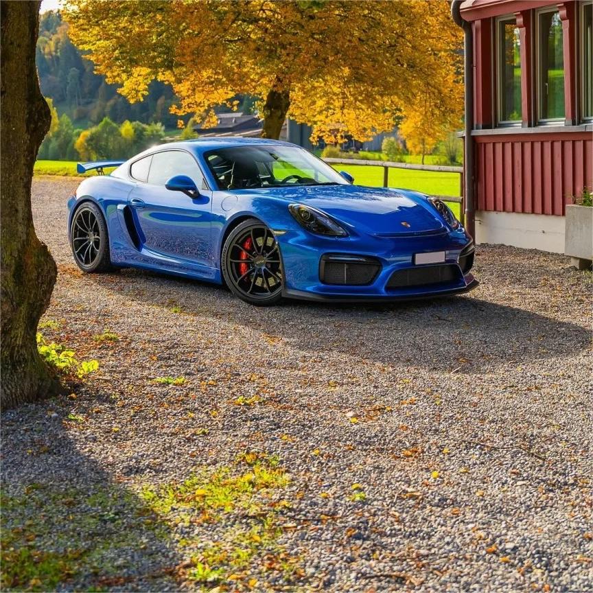 The Bold Appeal of Gloss Metallic Blueberry Car Wraps