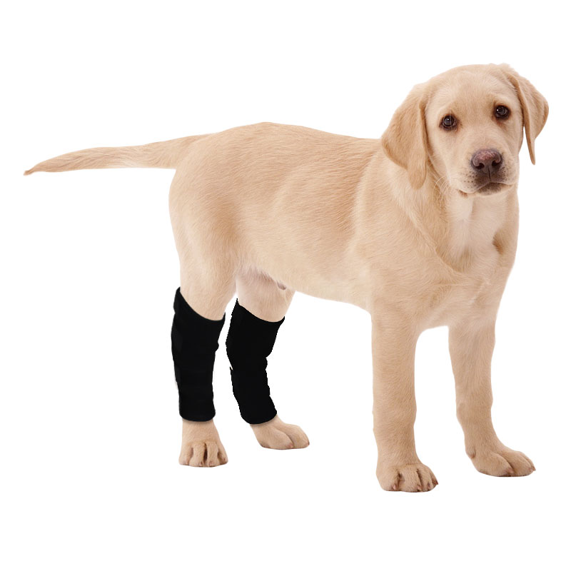 Dog Hock Wrap Braces Protector Post Surgery Injury