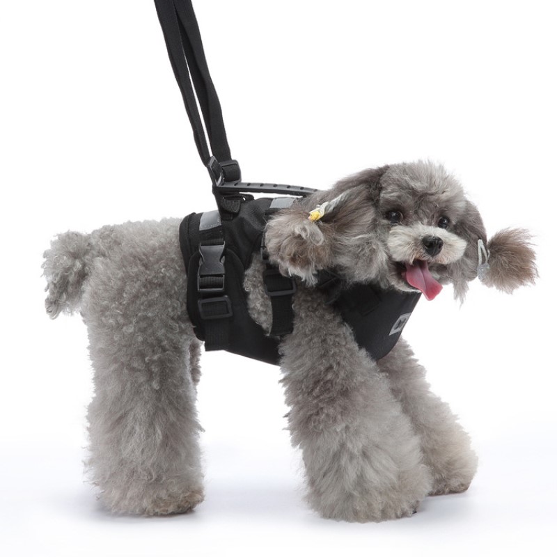 Dog Support Harness for Front Leg