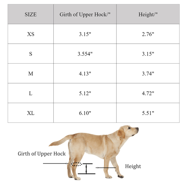 Dog Hock Brace Hinge Right Leg