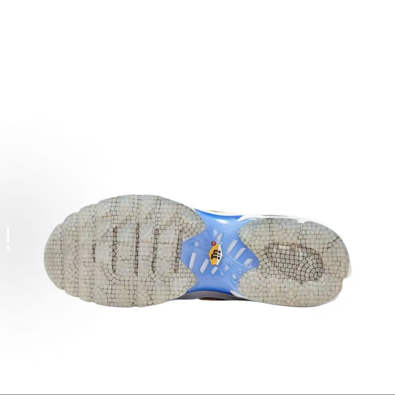 Nike Air Max Plus Blue and white pattern