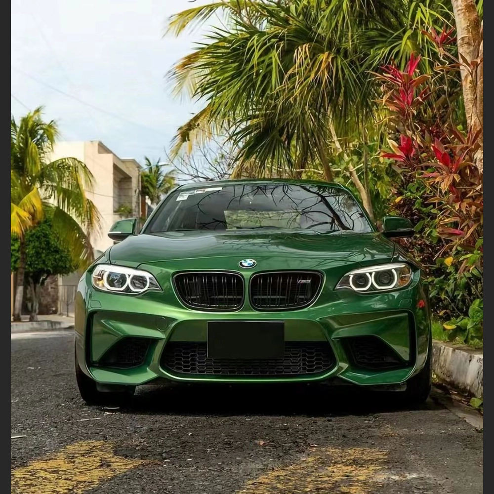 BMW M2 Wrap, Best Ravoony Metal Sonoma Green Car Vinyl Wrap BMW M2 Wrap ...