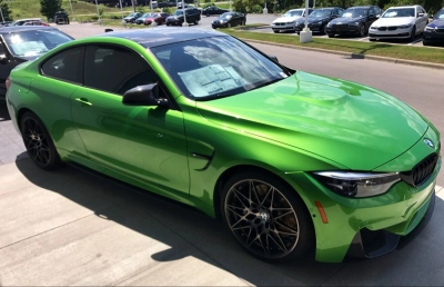 Best Ravoony Kelly Green Vinyl Wrap - ravoony.com