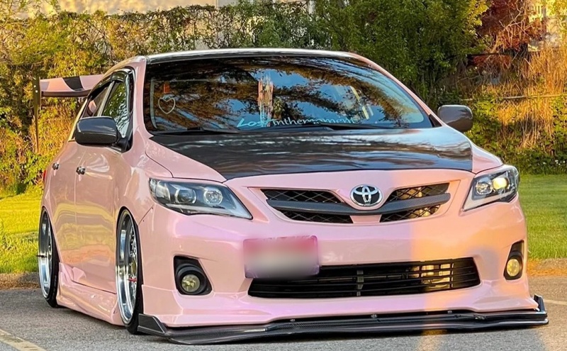 What Is The Pink Corolla?