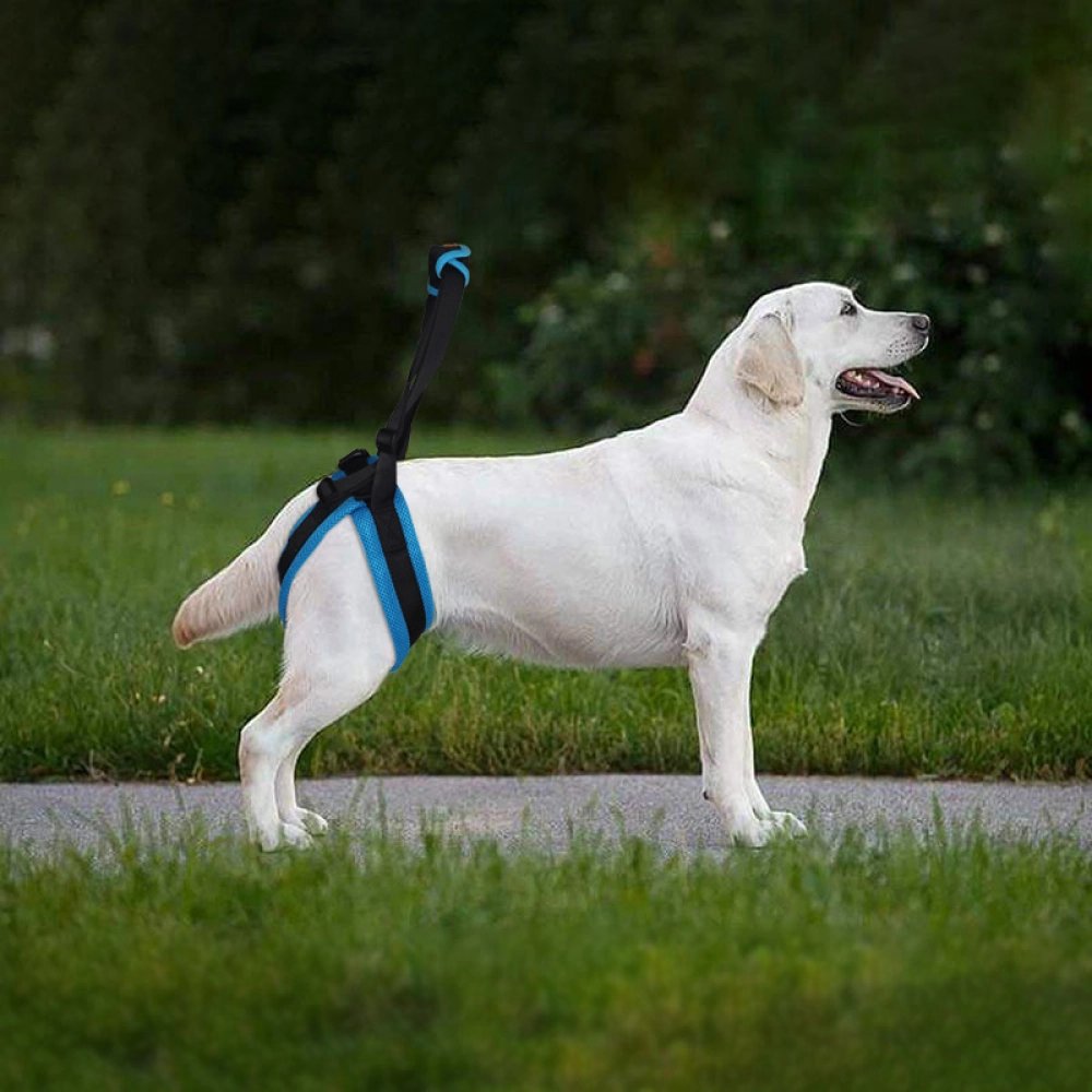 Dog Rear Harness Lifting with Handle - KindlyDogs