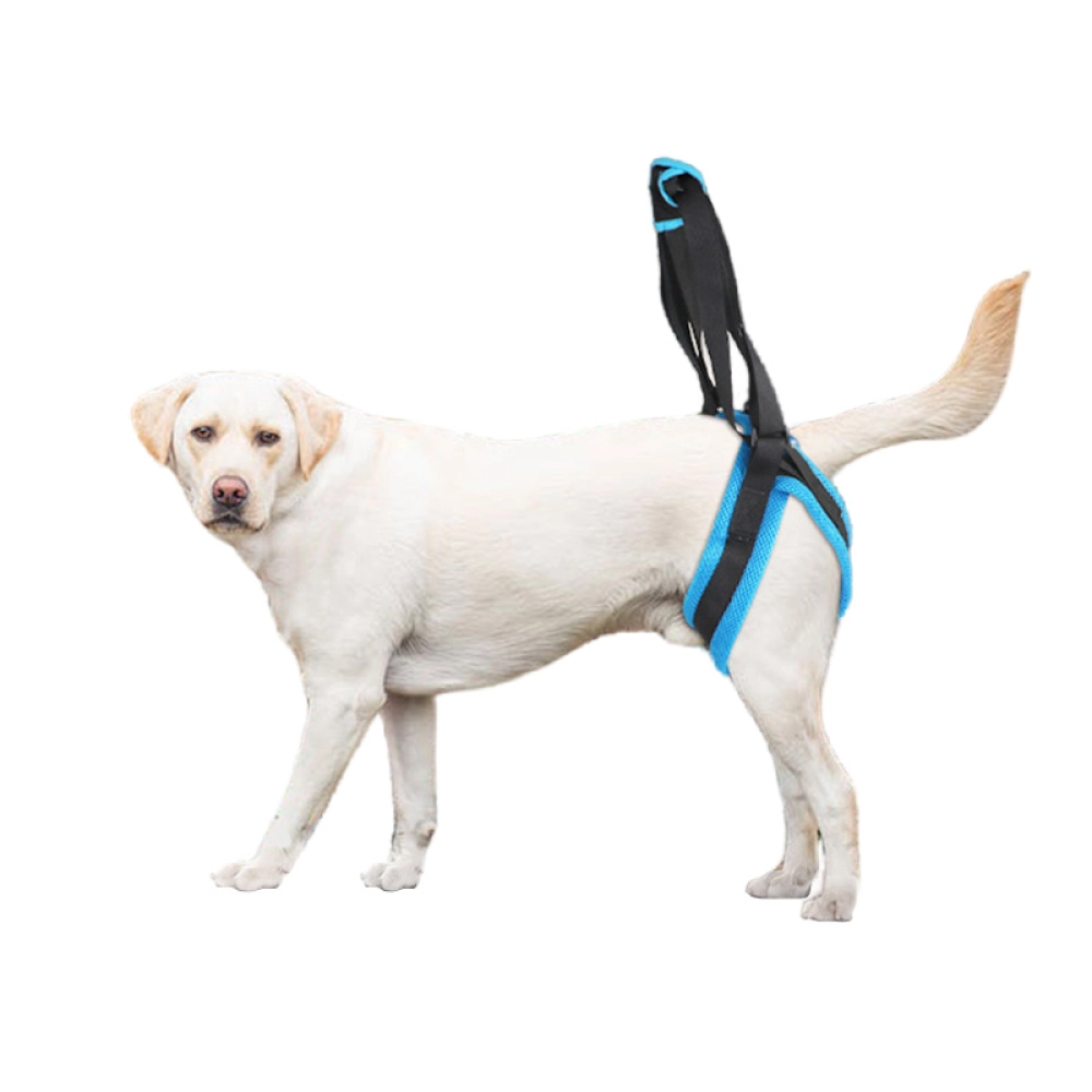Dog Rear Harness Lifting with Handle - KindlyDogs