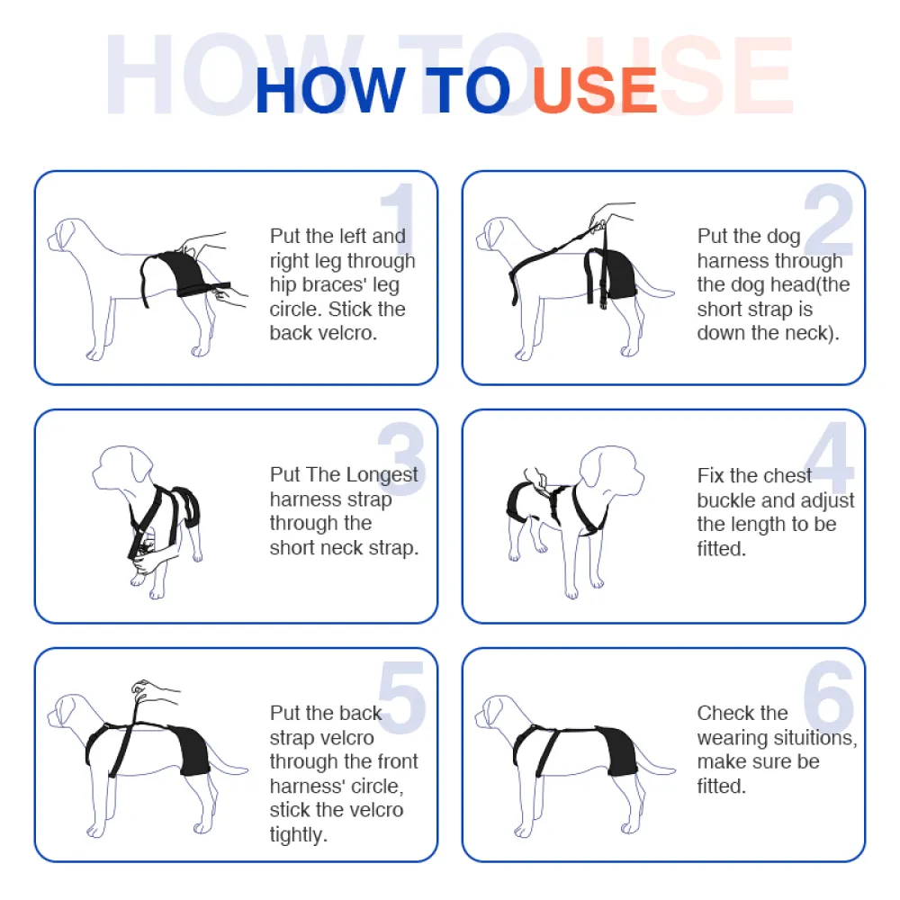 Hip Brace for Dogs with Hip Dysplasia - KindlyDogs