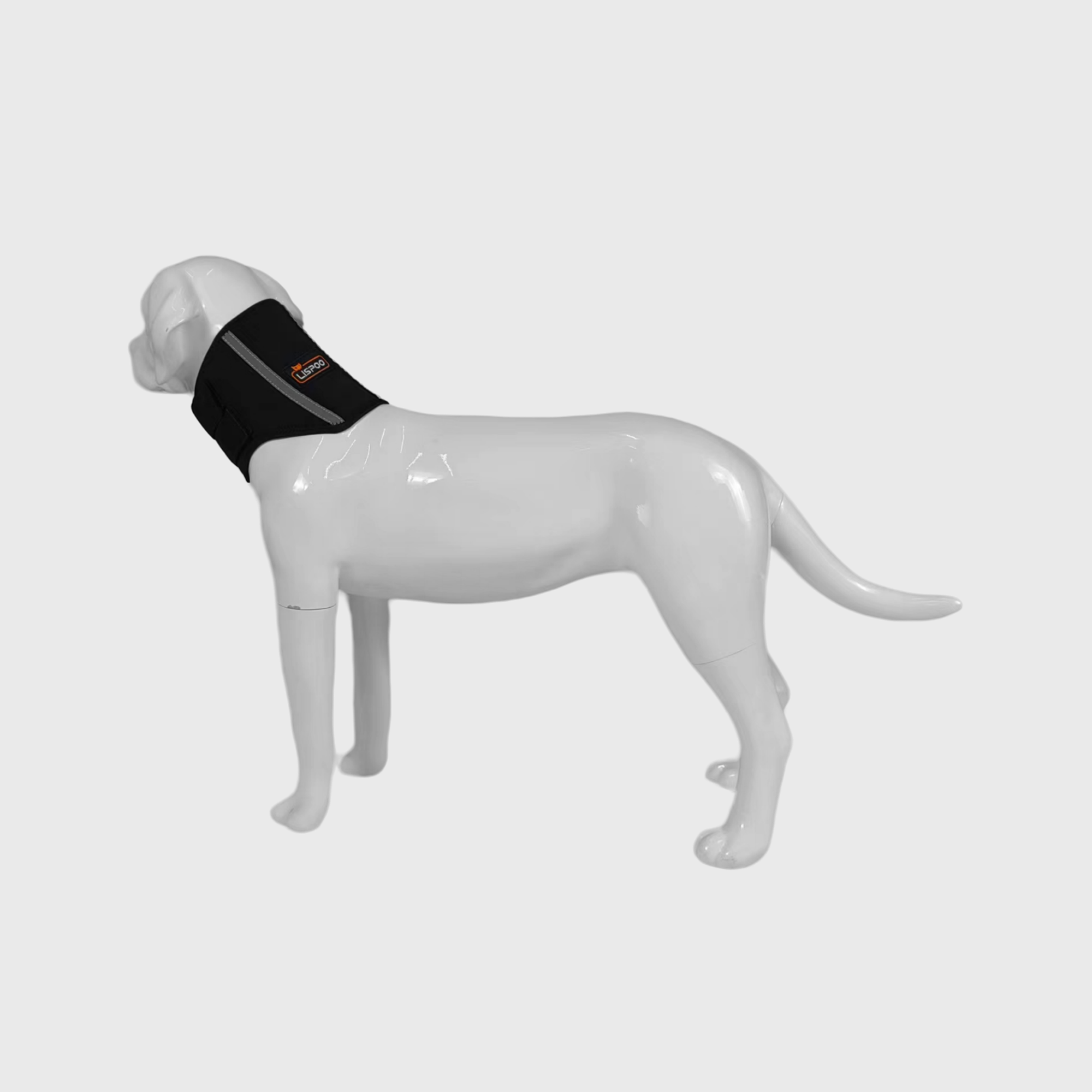 Dog Neck Brace after Surgery | LISPOO