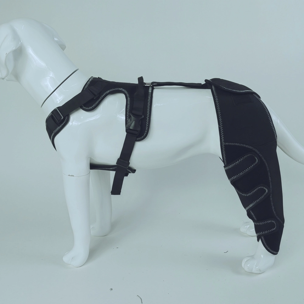 Dog Leg Brace: Back Leg ACL Splint, Arthritis & Ligament Support