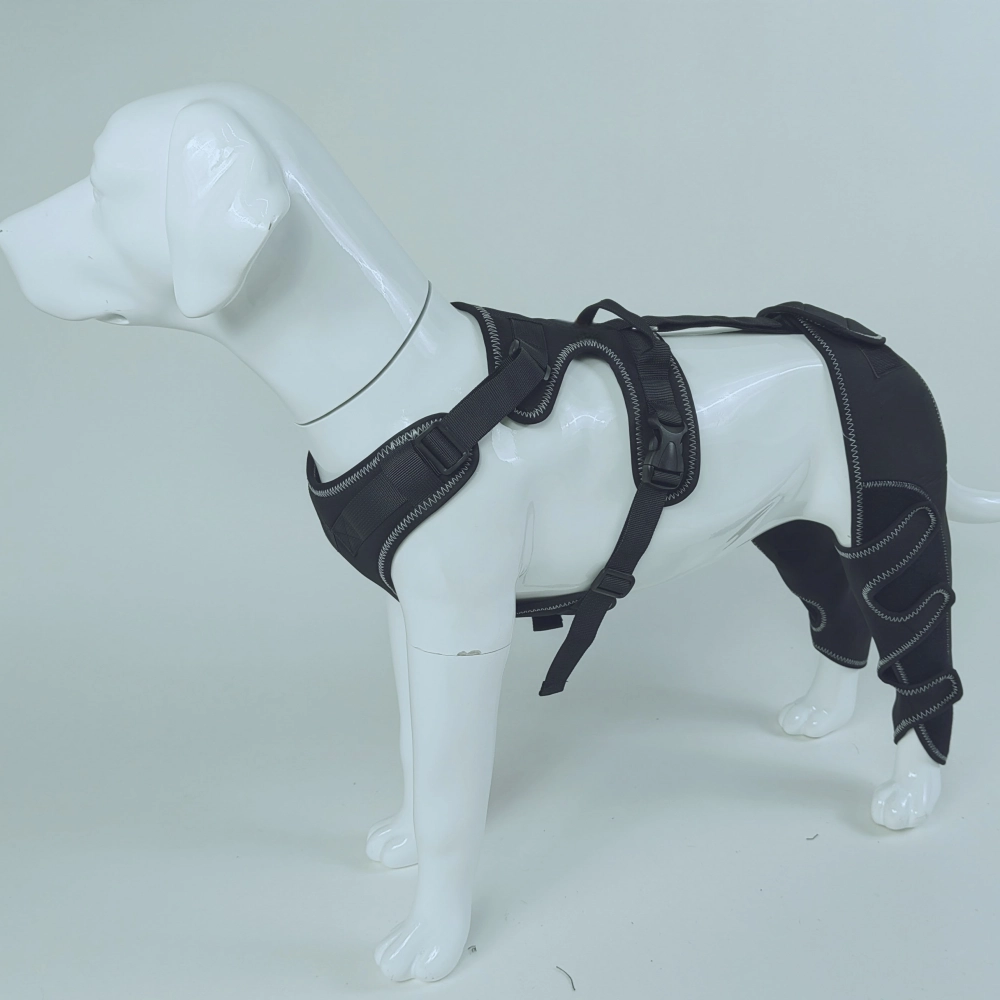 Dog Leg Brace: Back Leg ACL Splint, Arthritis & Ligament Support