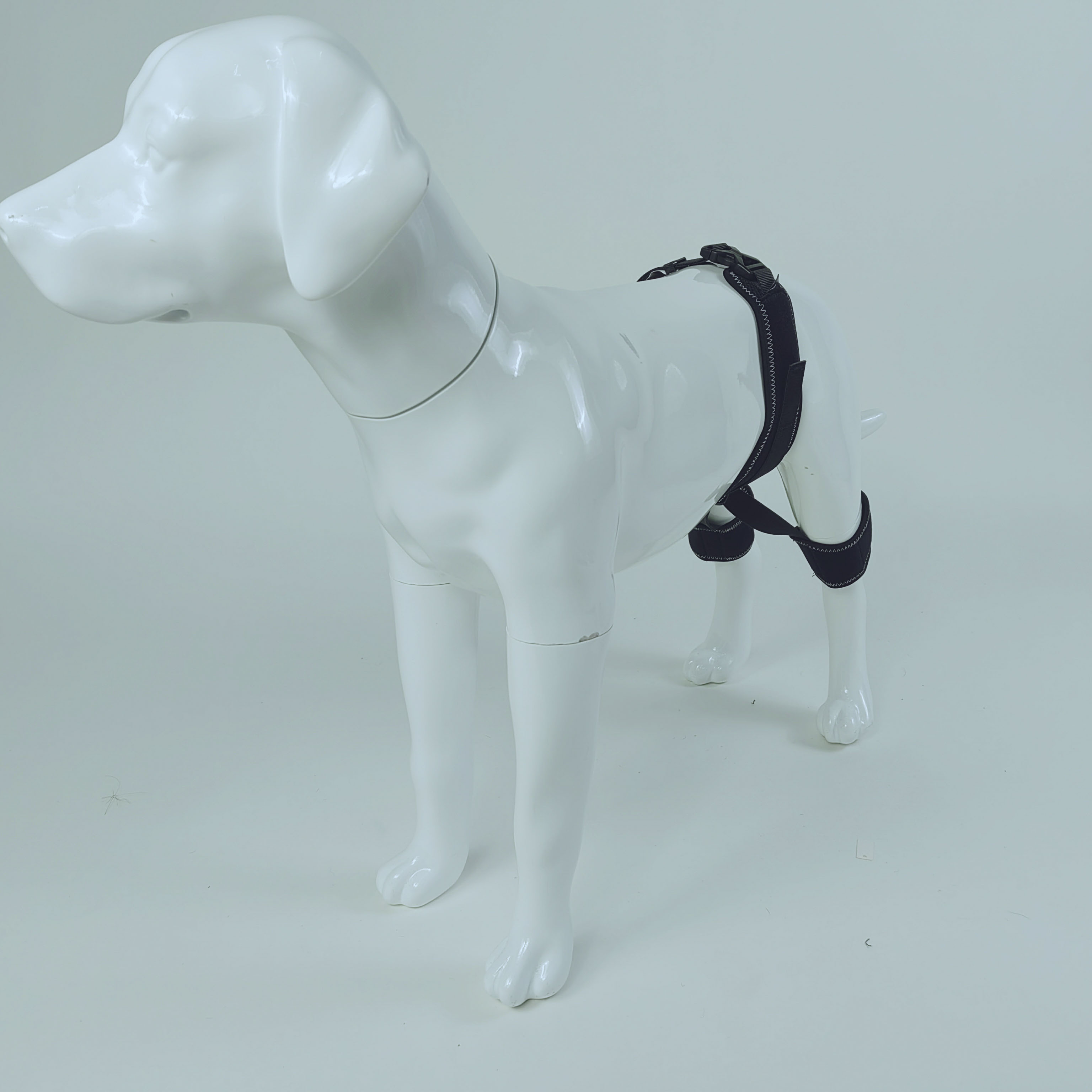 Dog Hip Brace Support & Harness | Canine Hip Dysplasia Solutions