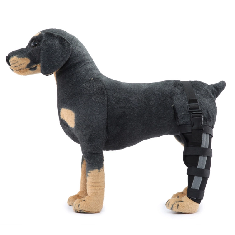 Rear Dog Leg Brace&ACL Support | After Surgery Splints & Covers for ...