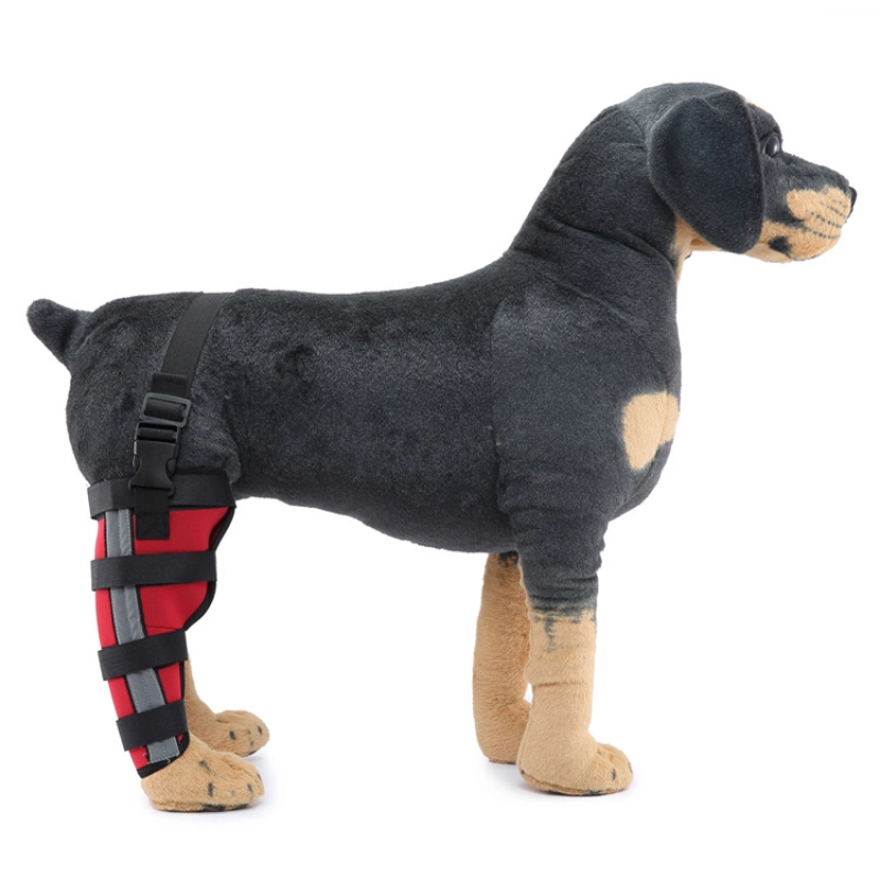 Rear Dog Leg Brace&ACL Support | After Surgery Splints & Covers for ...
