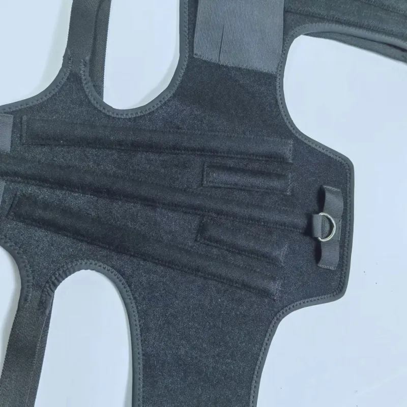 Dog Back Support Brace for IVDD | Non-Surgical Disc Treatment