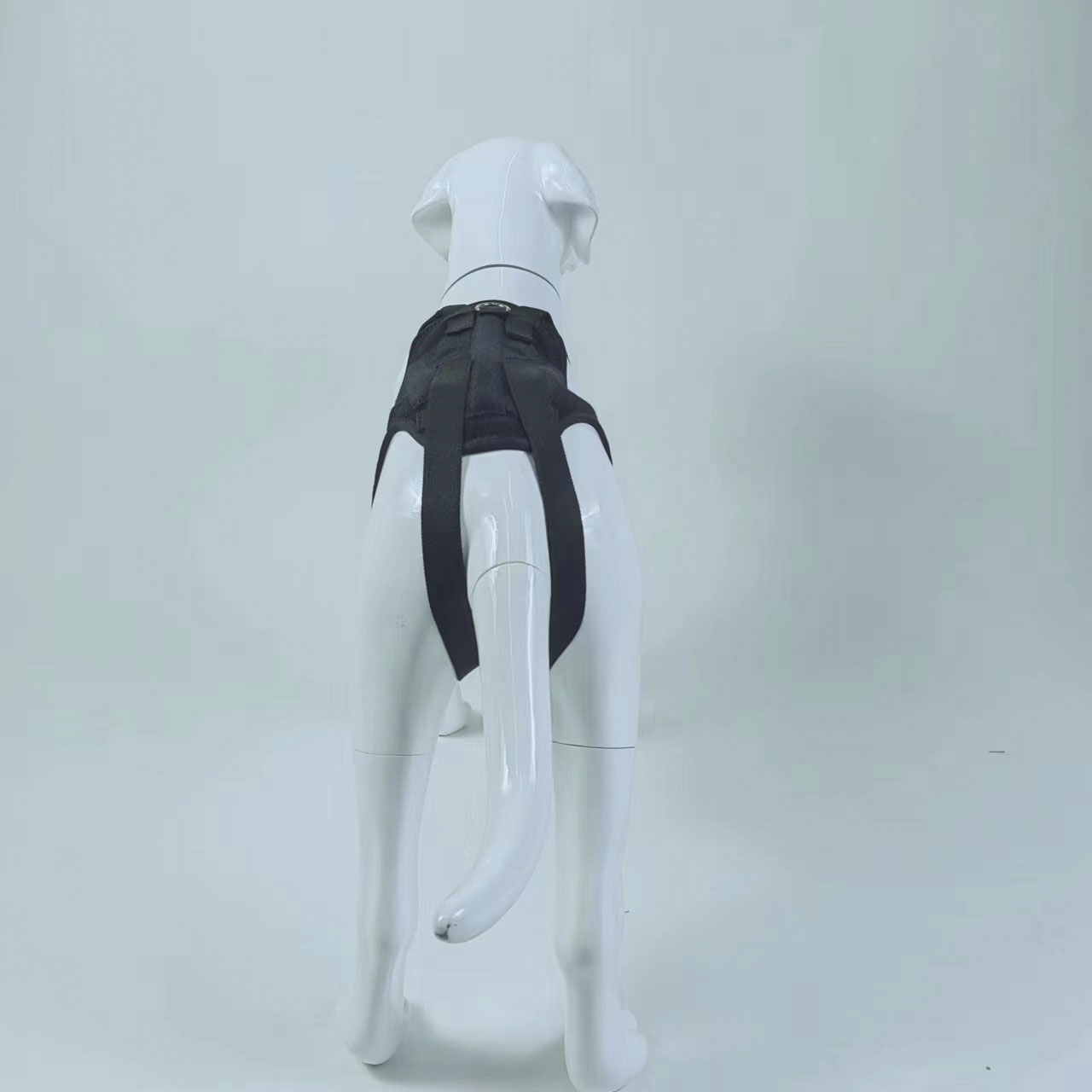 Dog Back Support Brace for IVDD | Non-Surgical Disc Treatment