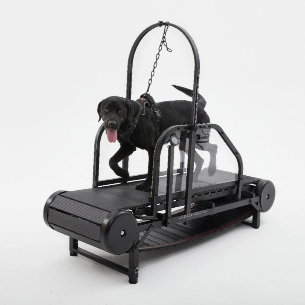 pet treadmill